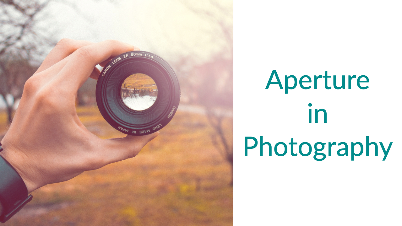 What is Aperture in Photography? - TechDotMatrix