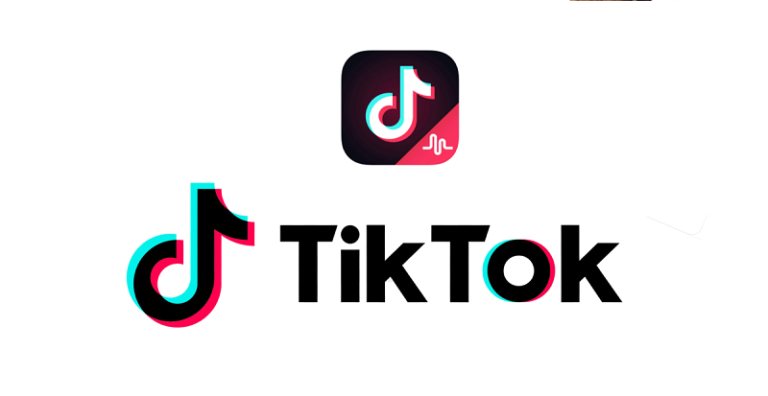 How Do Bloggers Use TikTok To Build The Visibility Of Their Blogs ...